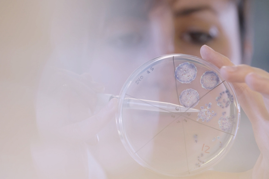 SNIPR shoots down resistant E. coli in first human trial | pharmaphorum