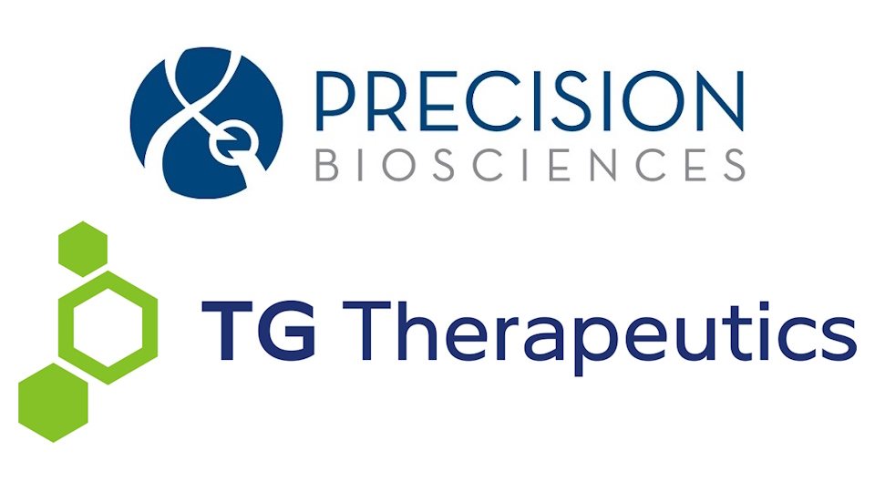 JPM: Precision Bio continues offload of CAR-T rights | pharmaphorum
