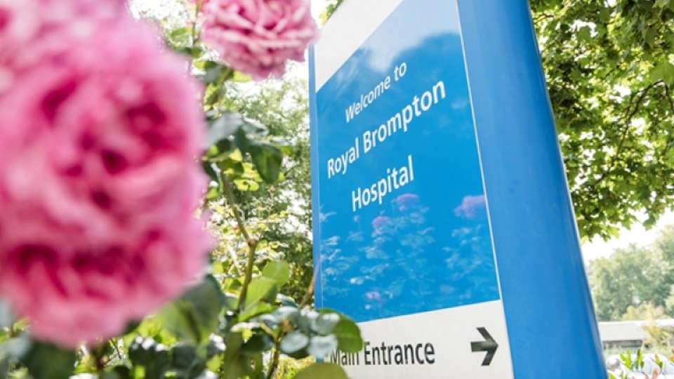 Urgent plea for type O blood after London cyberattack | pharmaphorum