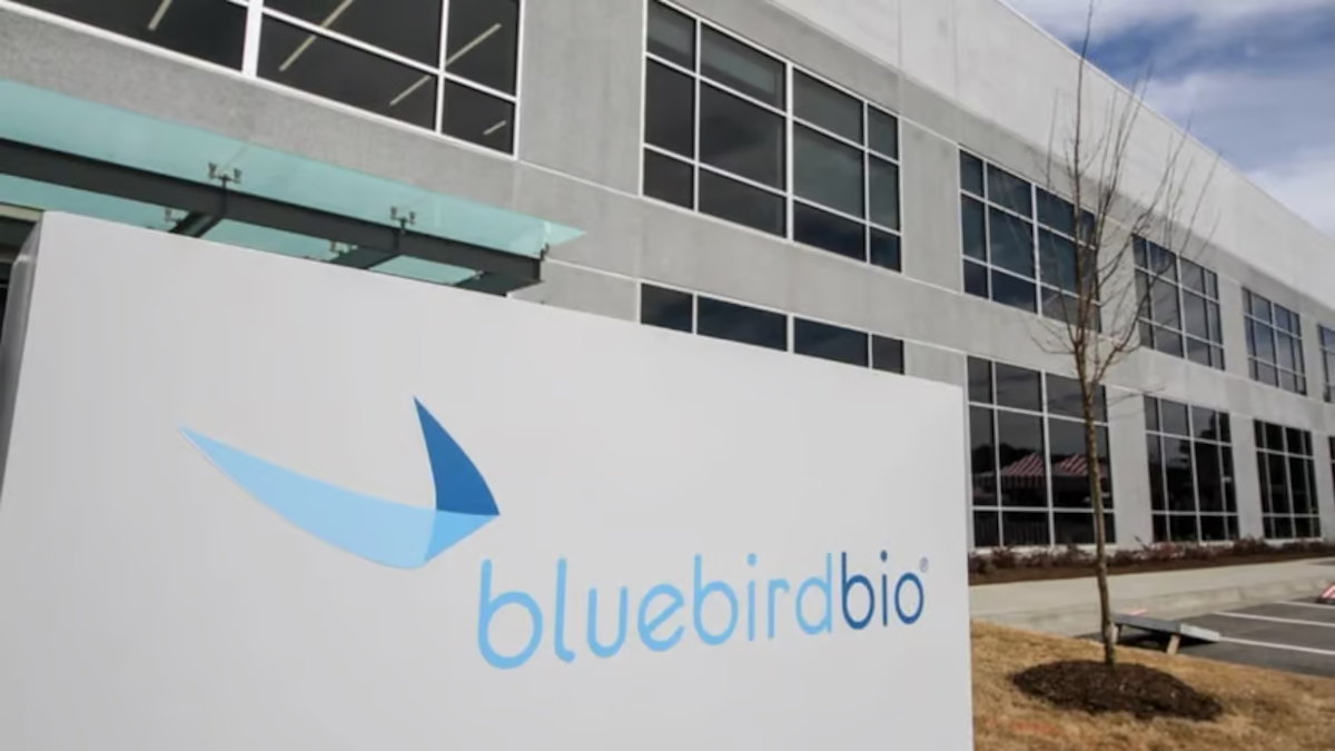 FDA probing cancer cases with Bluebird's CALD gene therapy | pharmaphorum