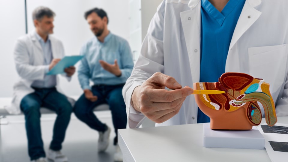 Prostate cancer: HCPs discuss emerging treatments, artificial ...