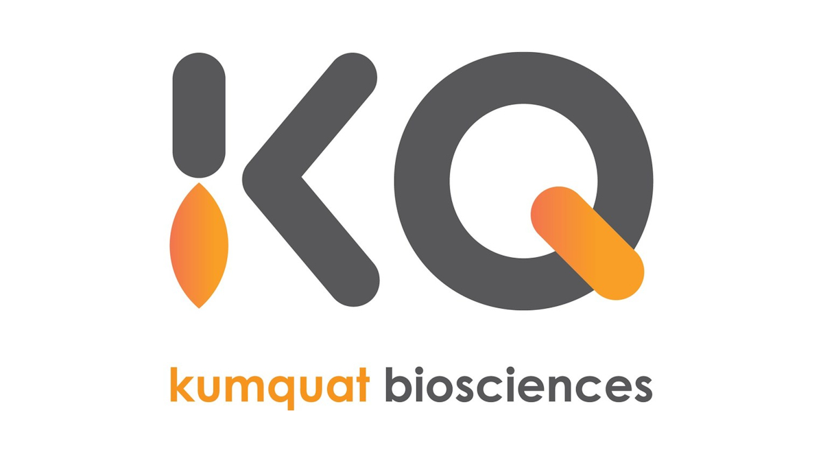 Bayer buys into KRAS with $1.3bn Kumquat deal | pharmaphorum