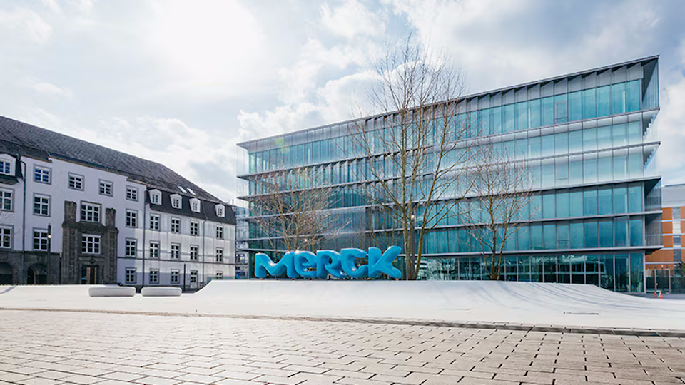 Merck looking to rare disease deals to build health momentum | pharmaphorum