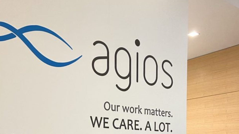 Agios shares slump on sickle cell disease data | pharmaphorum