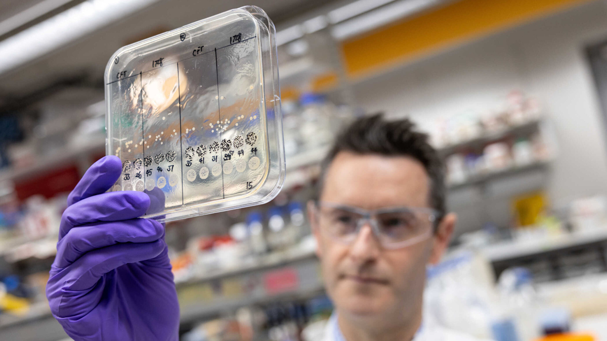GSK pumps £45m into antimicrobial resistance projects | pharmaphorum