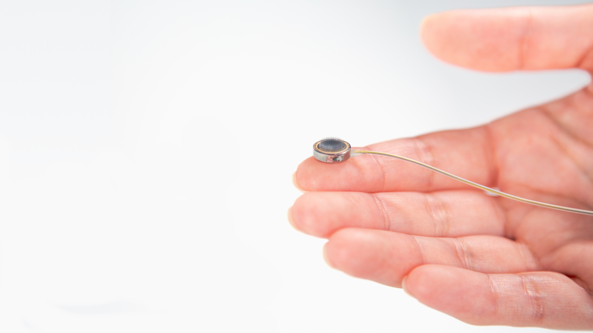 Neuralink rival Paradromics cleared to start speech trial | pharmaphorum