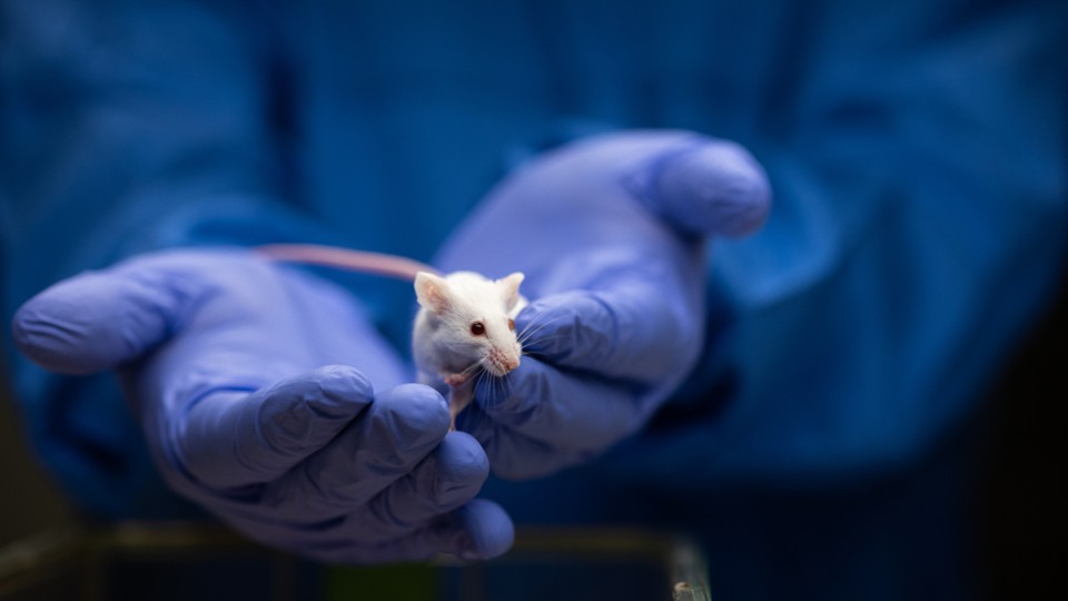 Beyond animal testing: How human data trials are reshaping drug ...