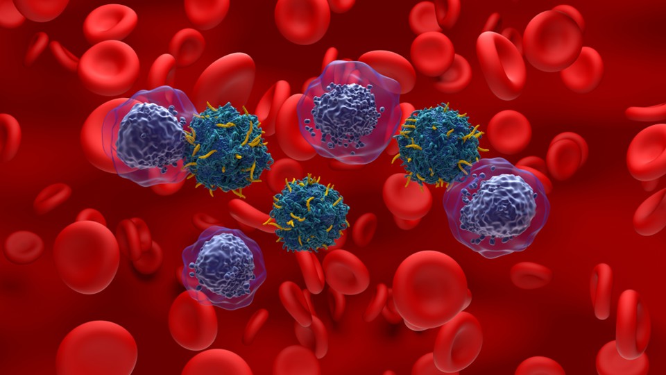 Expanding the haematology toolkit: Insights and operational imperatives ...