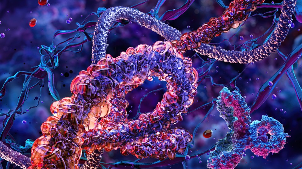 A complex biological landscape of protein function unlocked in Israel ...