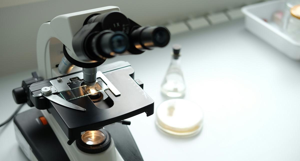 bluebird unveils $2.8m price for gene therapy Zynteglo on FDA approval ...