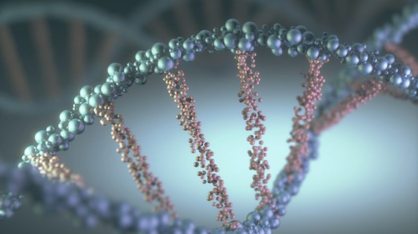 Novimmune files rare disease drug in EU, after selling rights to Sobi