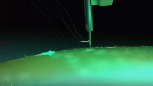 Musk's Neuralink close to clinical trials of "brain interface" device