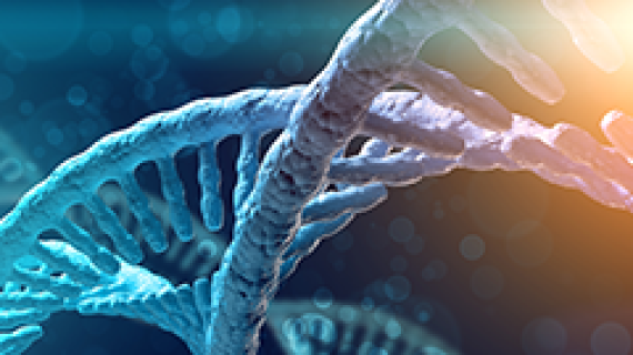 Solid Biosciences acquires AavantiBio, conducts $75 million private ...